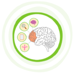 Rolling with ADHD for Teachers - Healthy Minds Learning